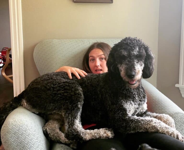 These 20 Hilarious Doodles Prove That “Lap Dog” Isn’t a Size, It’s a ...