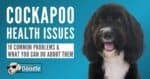 Cockapoo Health Issues: 10 Common Cockapoo Health Problems to Look Out For!